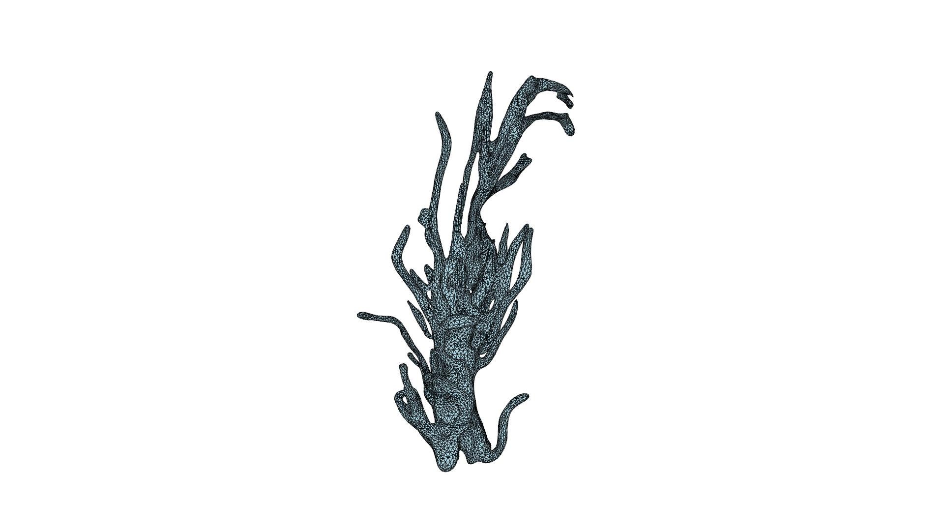 3D Seaweed Model - TurboSquid 2221422