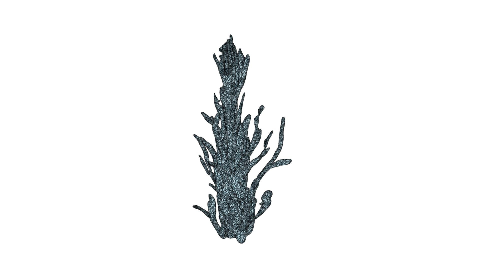 3D Seaweed Model - TurboSquid 2221422