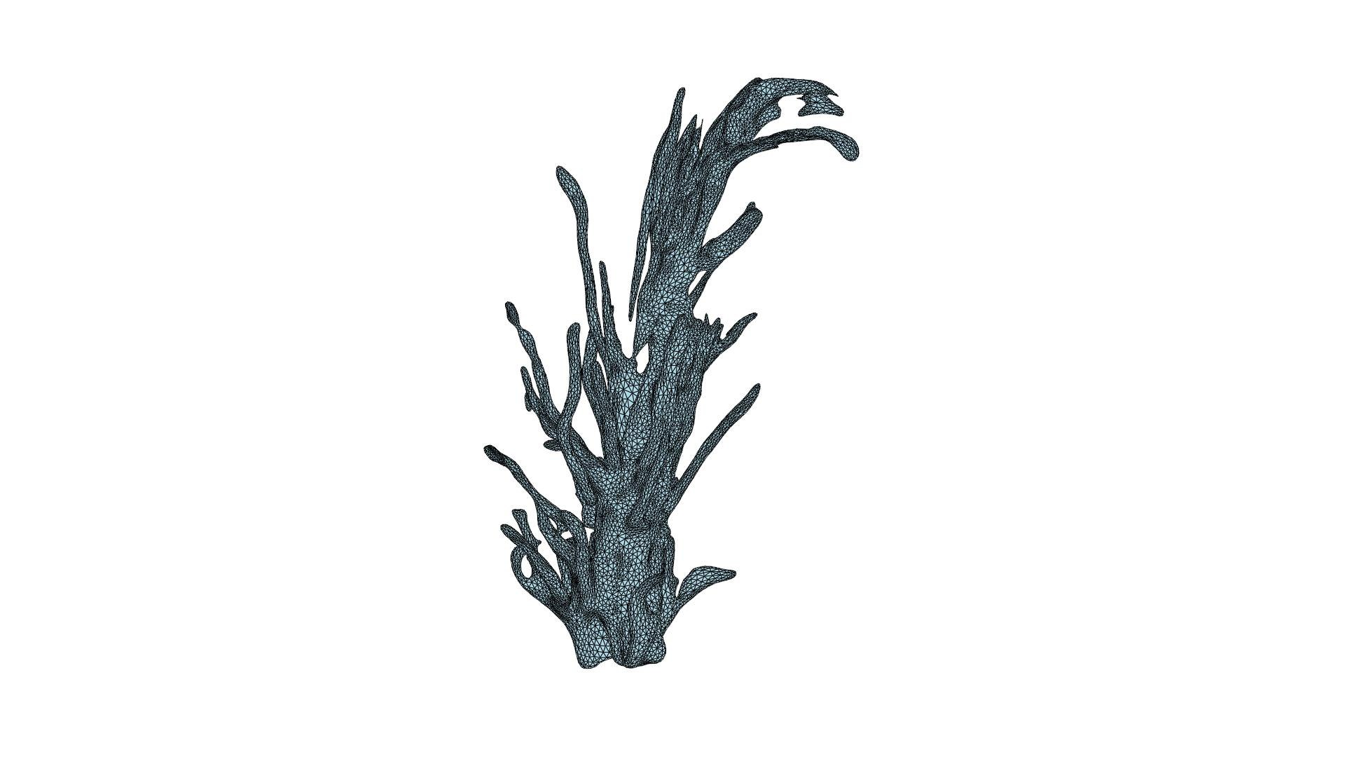 3D Seaweed Model - TurboSquid 2221422