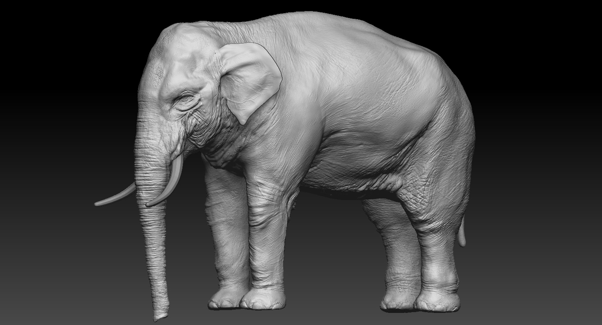 elephant rigged 3d fbx