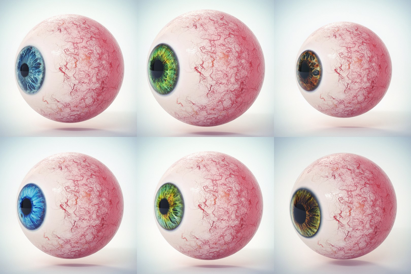 Eyes Pack Model - TurboSquid 1426089