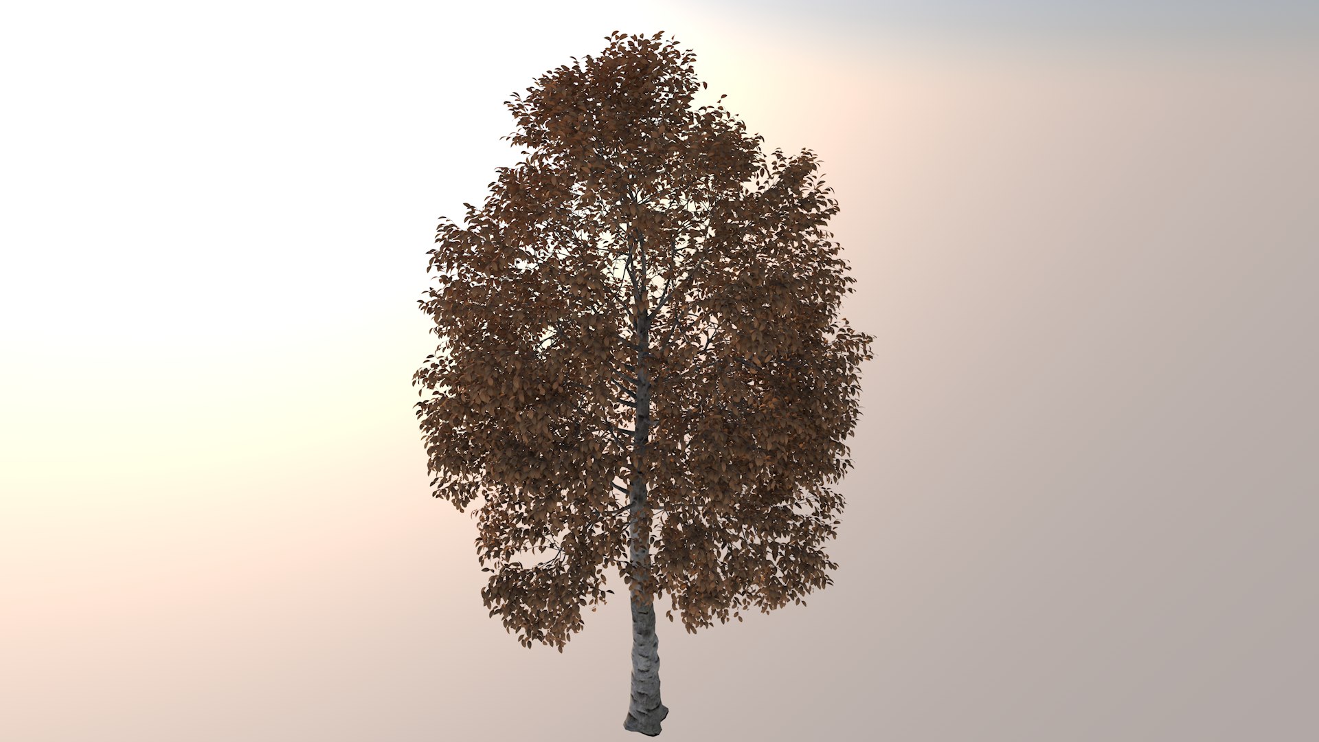 3D Realistic Trees - TurboSquid 1609338