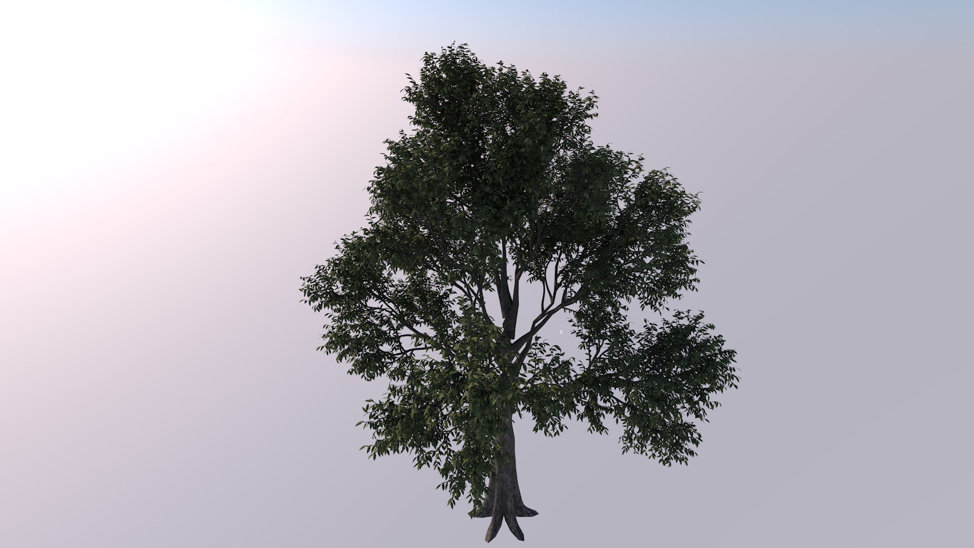 3D Realistic Trees - TurboSquid 1609338