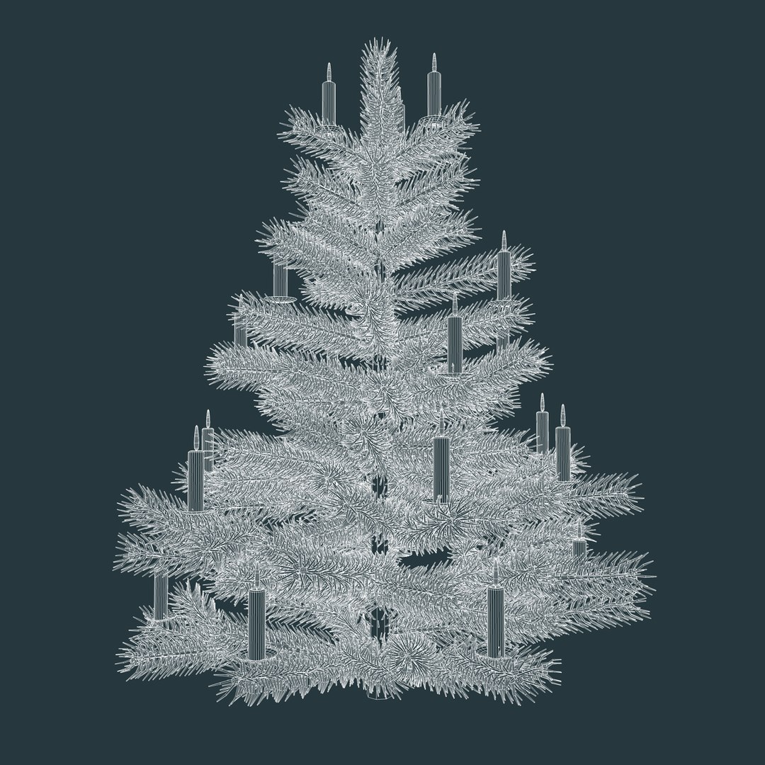 Fir Tree 3D Model - TurboSquid 1237903