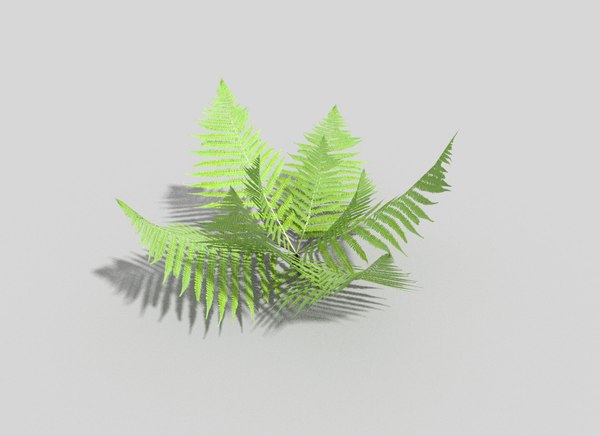 fern games 3d model