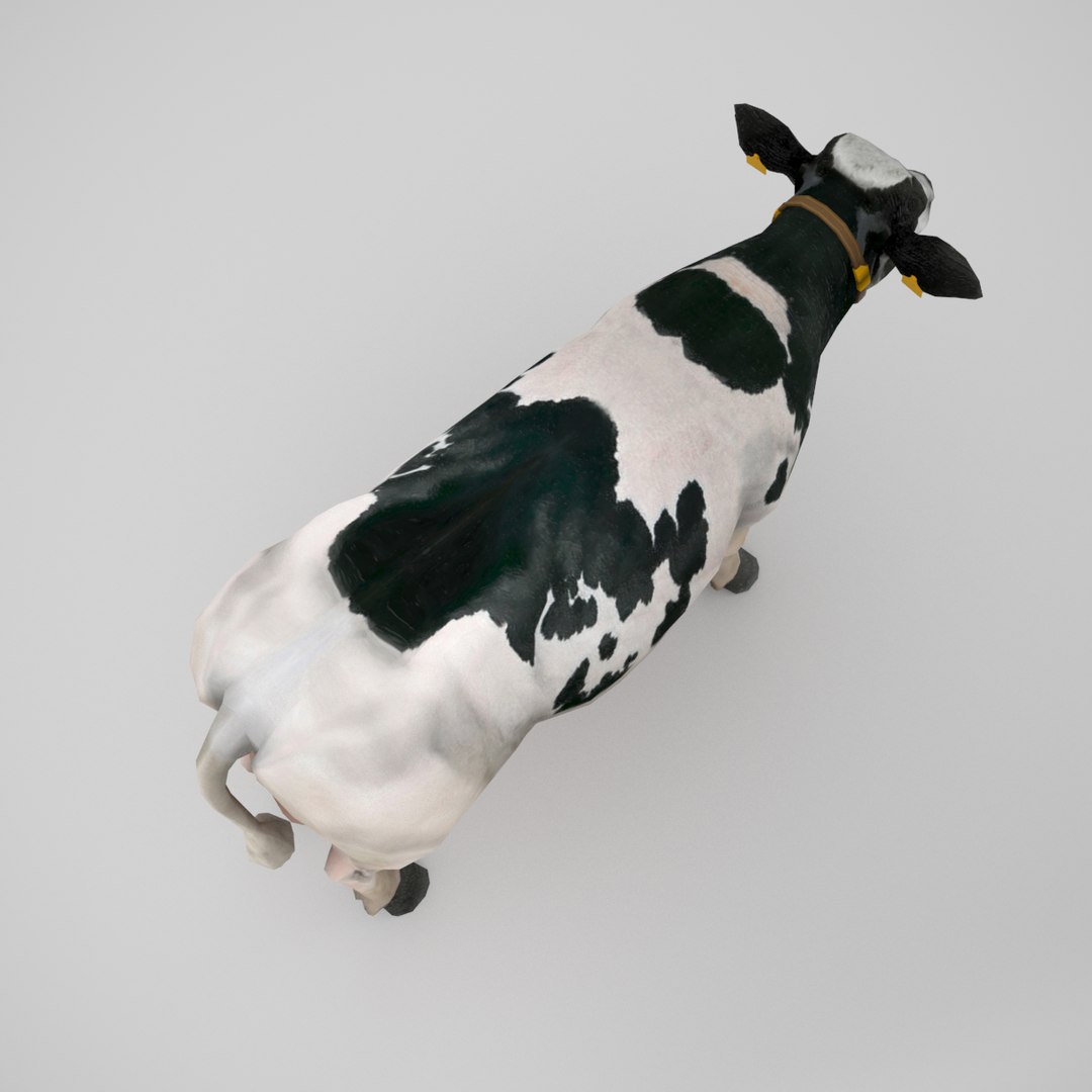 Holstein Cow Model - TurboSquid 1268537