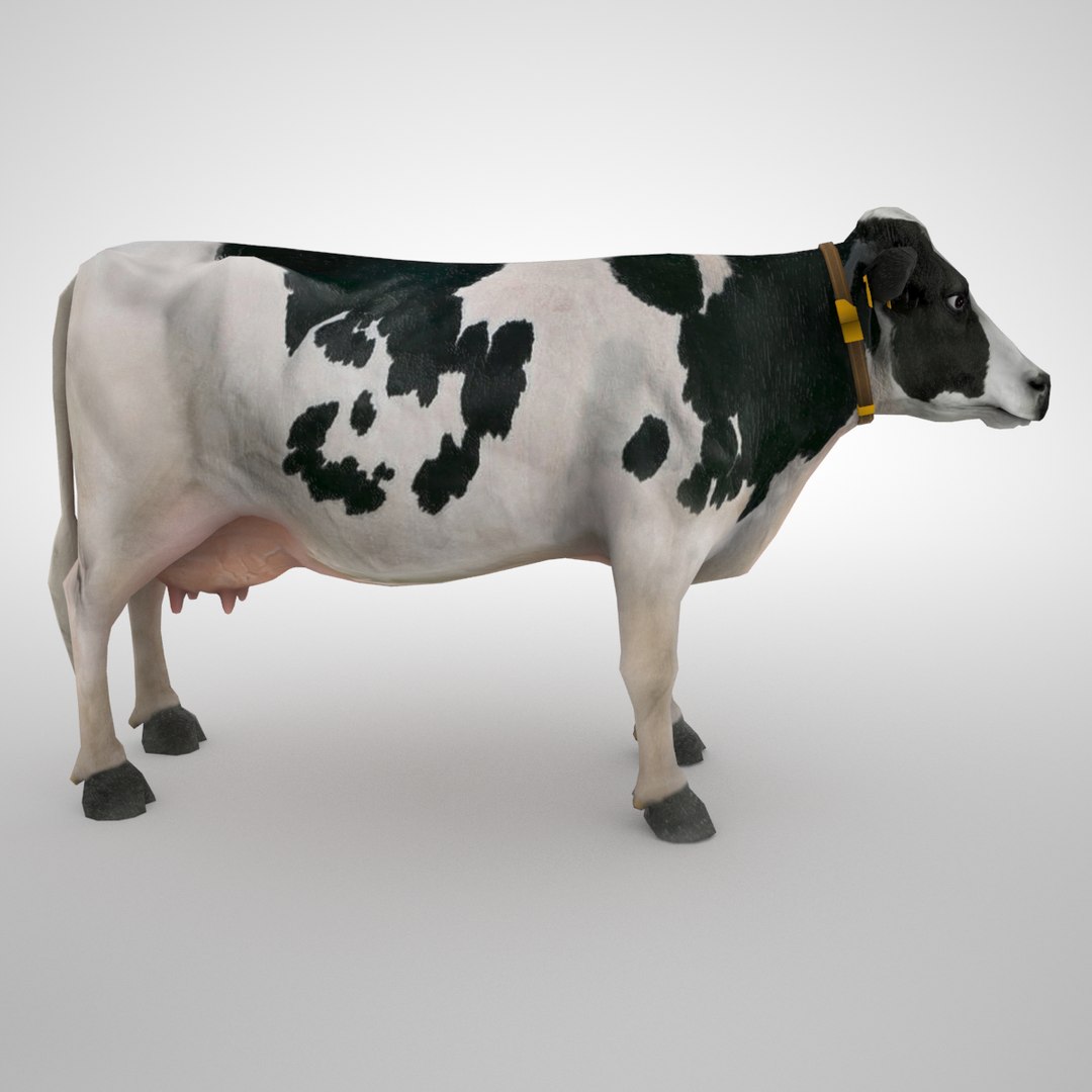 Holstein Cow Model - TurboSquid 1268537