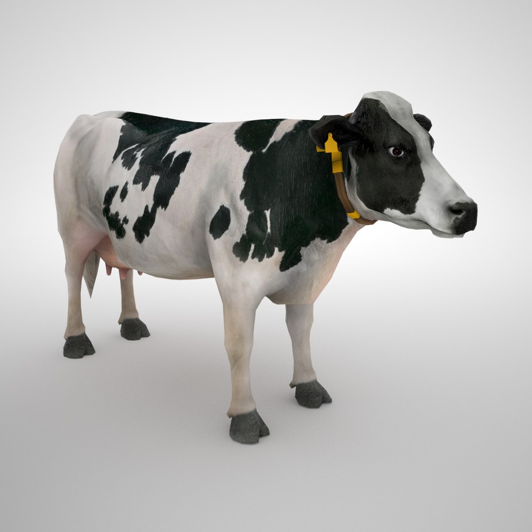 Holstein Cow Model - TurboSquid 1268537