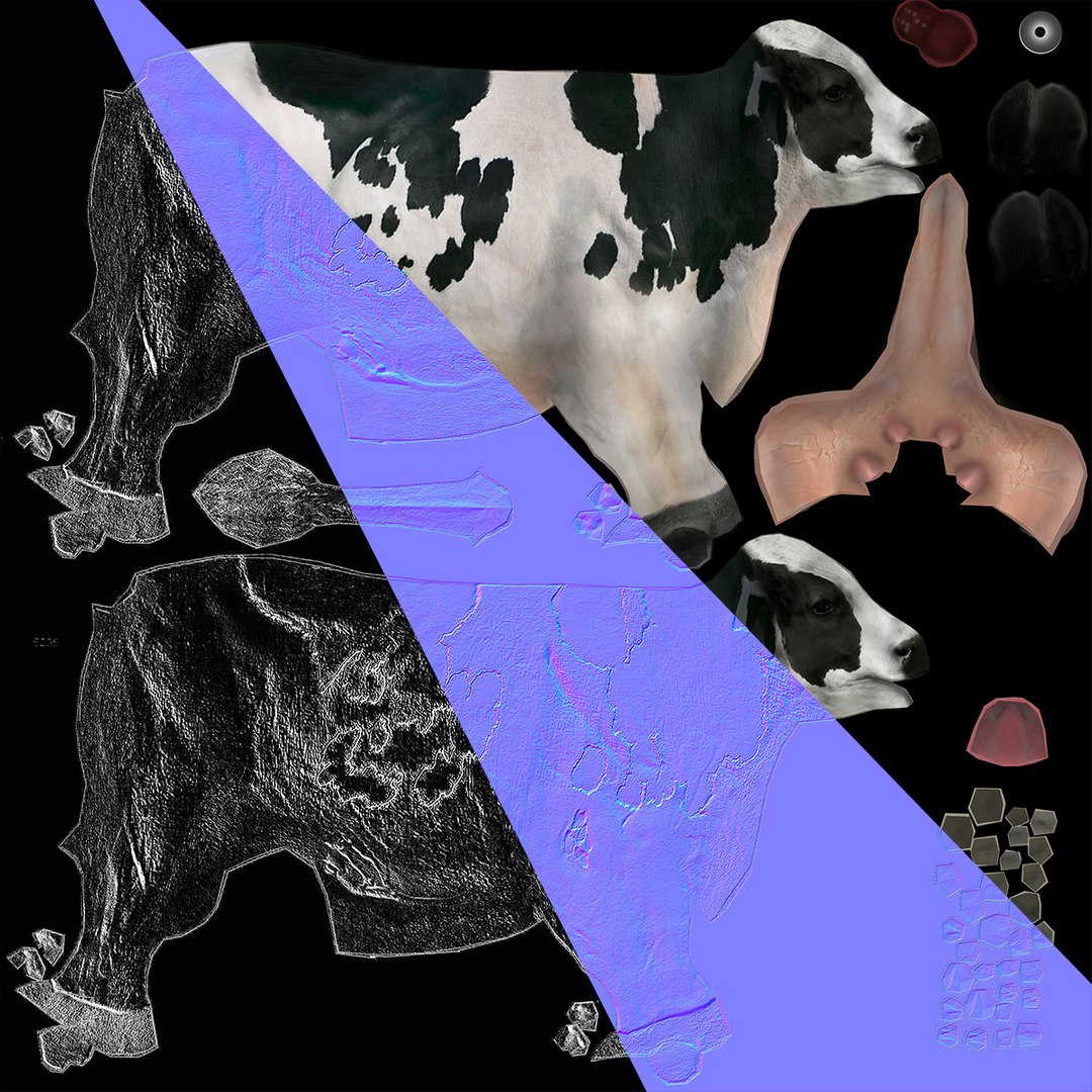 Holstein Cow Model - TurboSquid 1268537