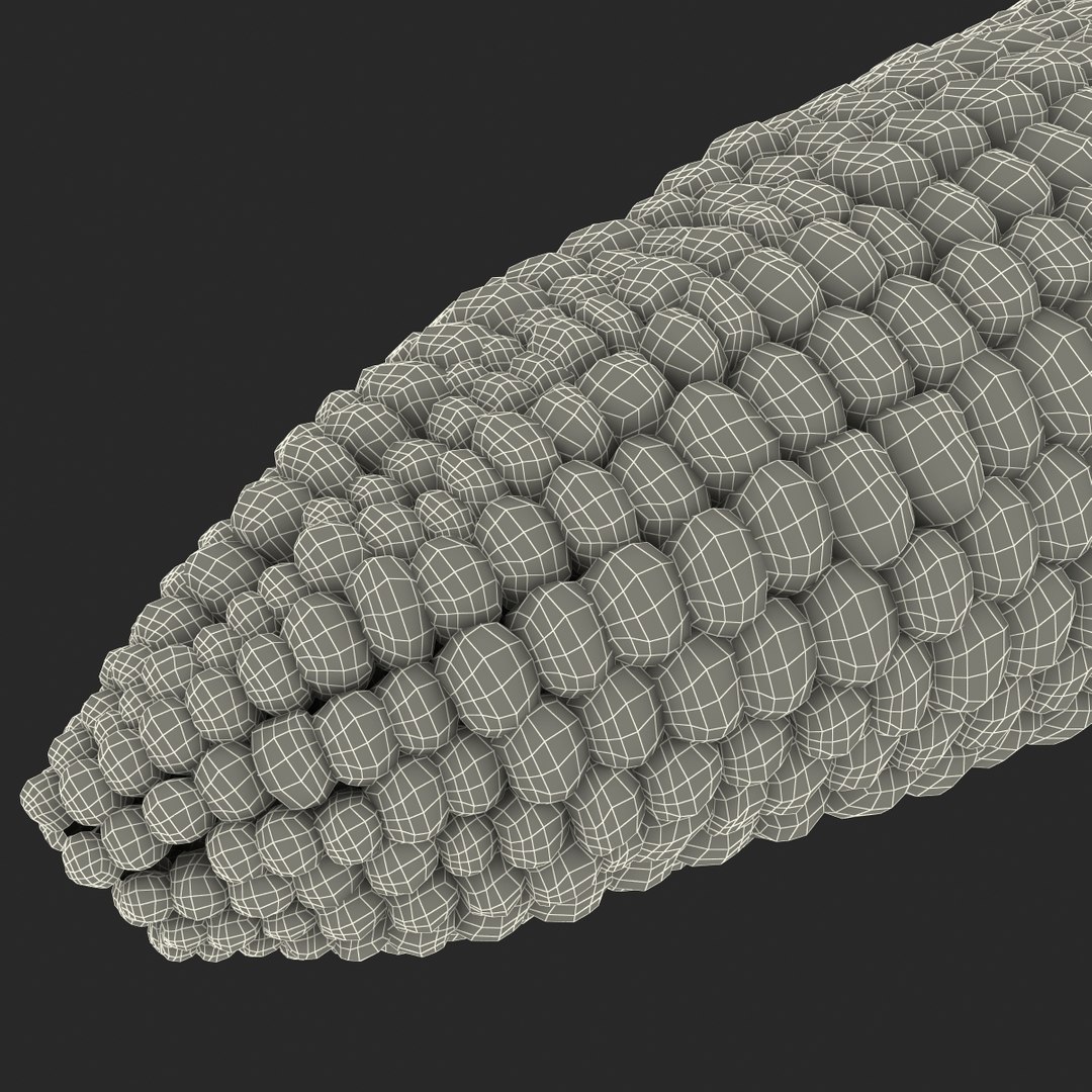 3ds max corn 2