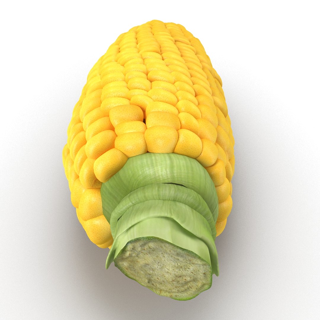 3ds Max Corn 2