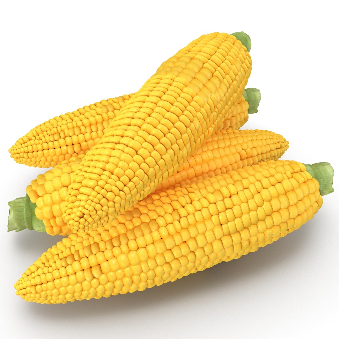 3ds max corn 2