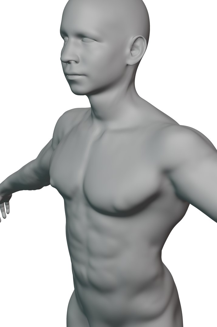 Basemesh male 3D model - TurboSquid 1968644