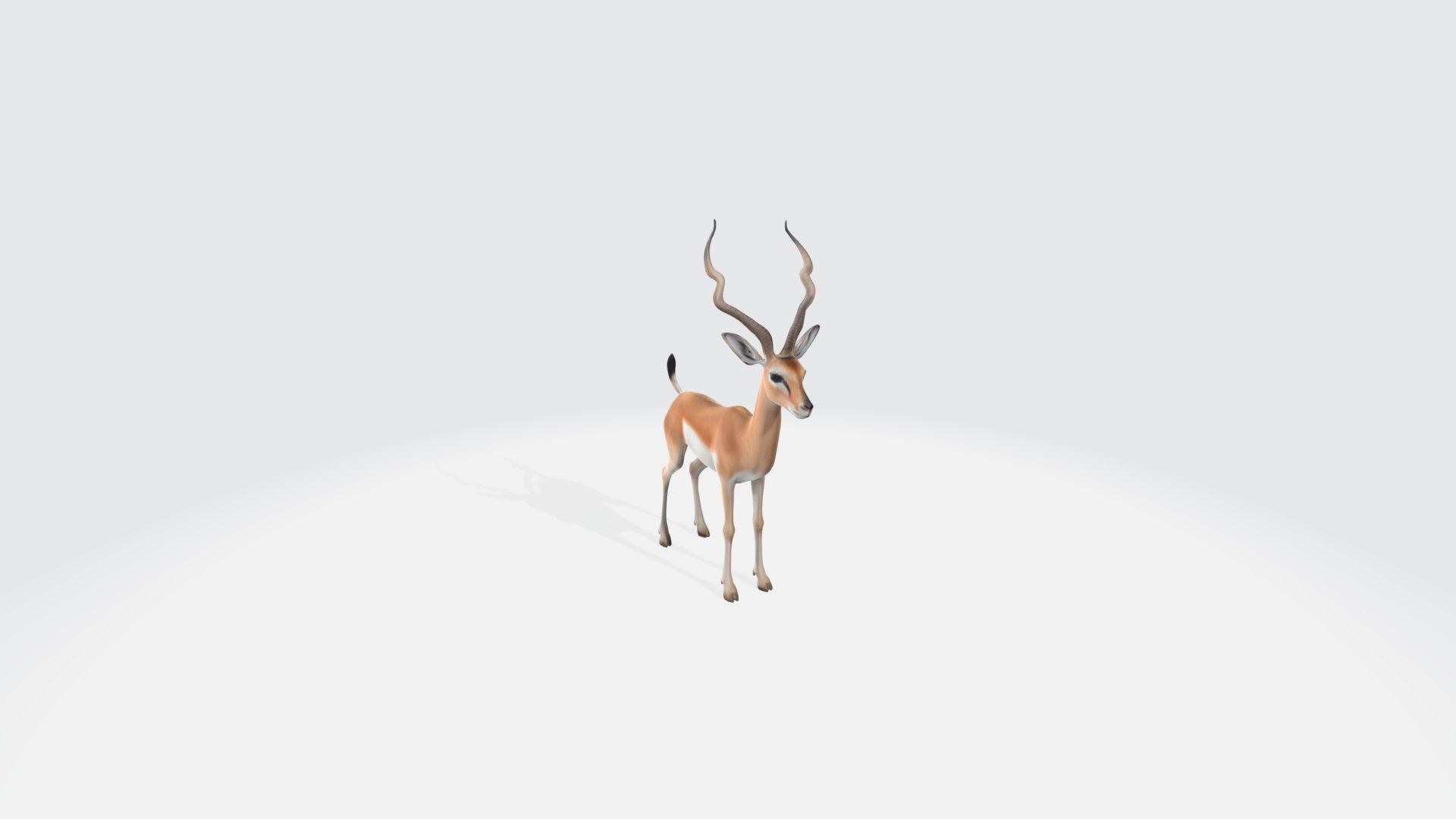 Gazelle Realistic Model Rigged And Animated 3D Model - TurboSquid 2277089