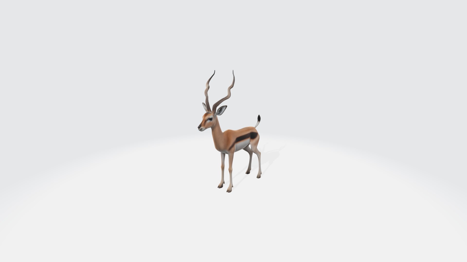 Gazelle Realistic Model Rigged And Animated 3D Model - TurboSquid 2277089
