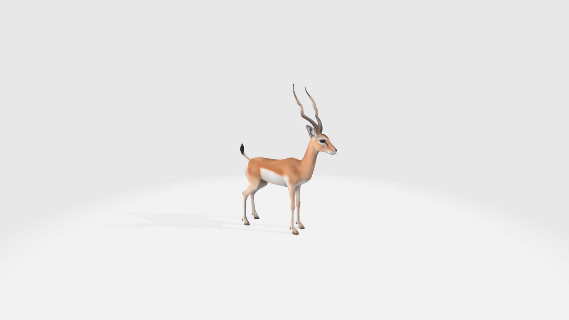 Gazelle Realistic Model Rigged And Animated 3D Model - TurboSquid 2277089