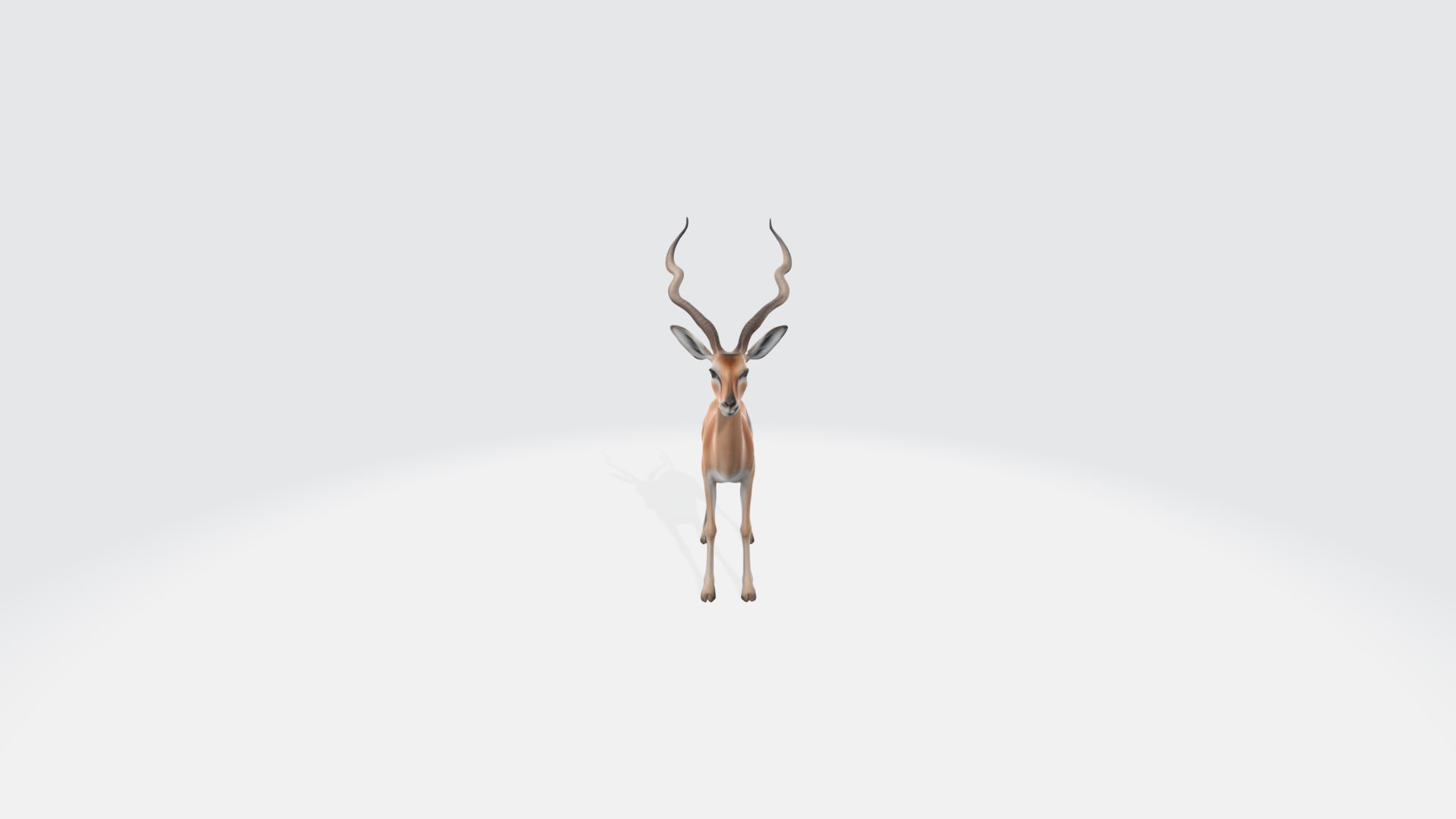 Gazelle Realistic Model Rigged And Animated 3D Model - TurboSquid 2277089