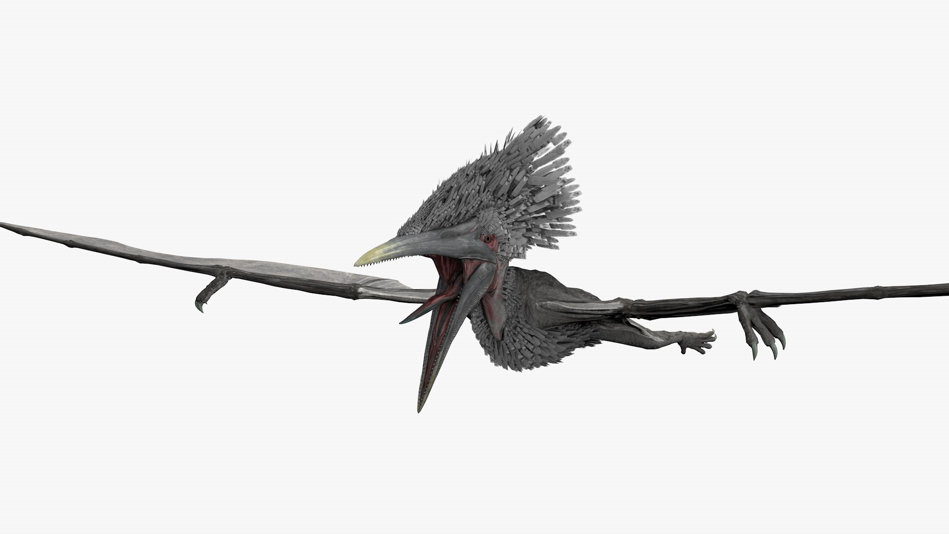 Pterodactyl Pterosaur 3D Model - TurboSquid 2410131