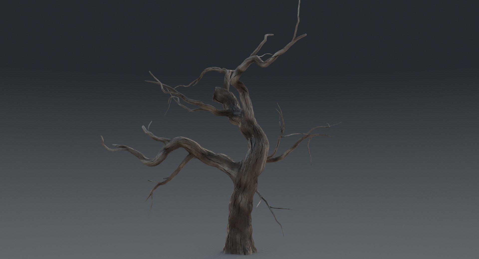 Dead Tree 3d Model