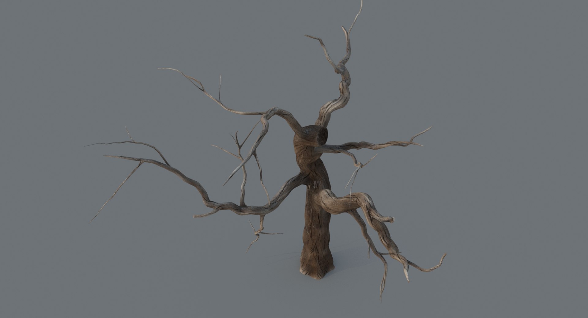 Dead Tree 3d Model