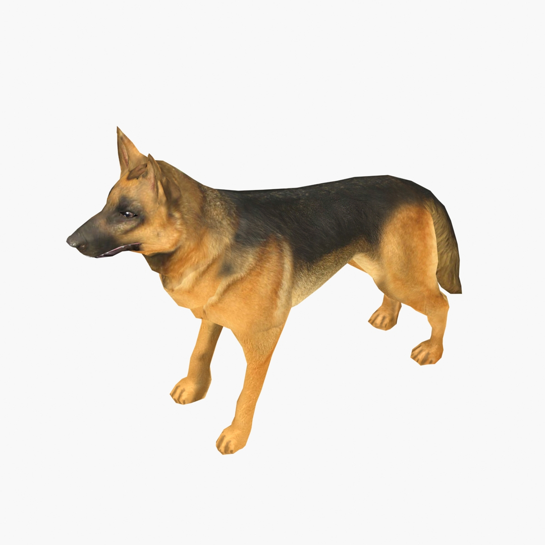 German Shepherd 3d Max