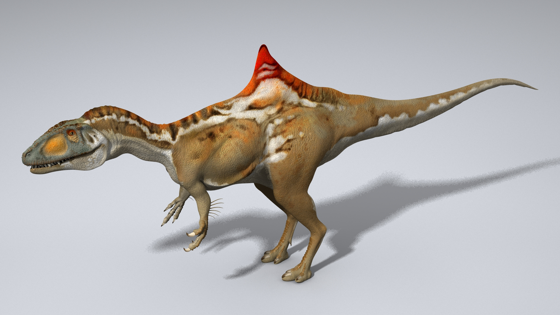 modelo 3d Concavenator - TurboSquid 1833663