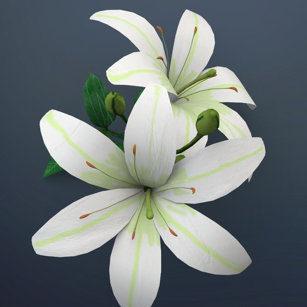 Lily flower 3D model - TurboSquid 1707900