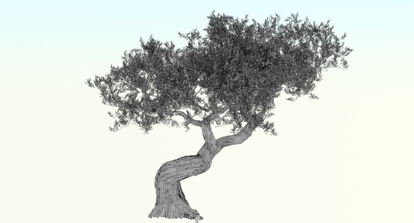 olive tree 3d max