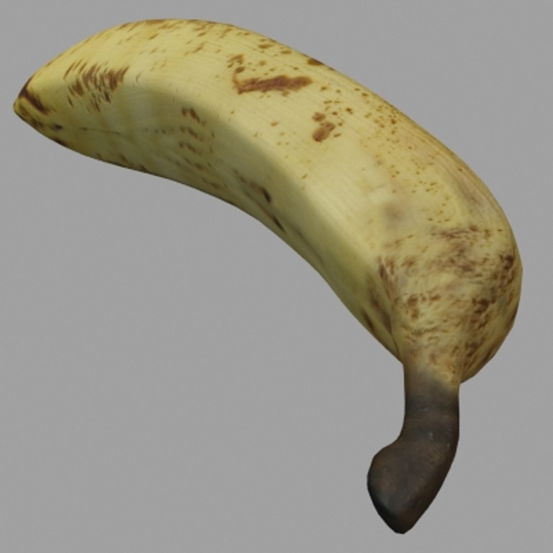 Maya Modeled