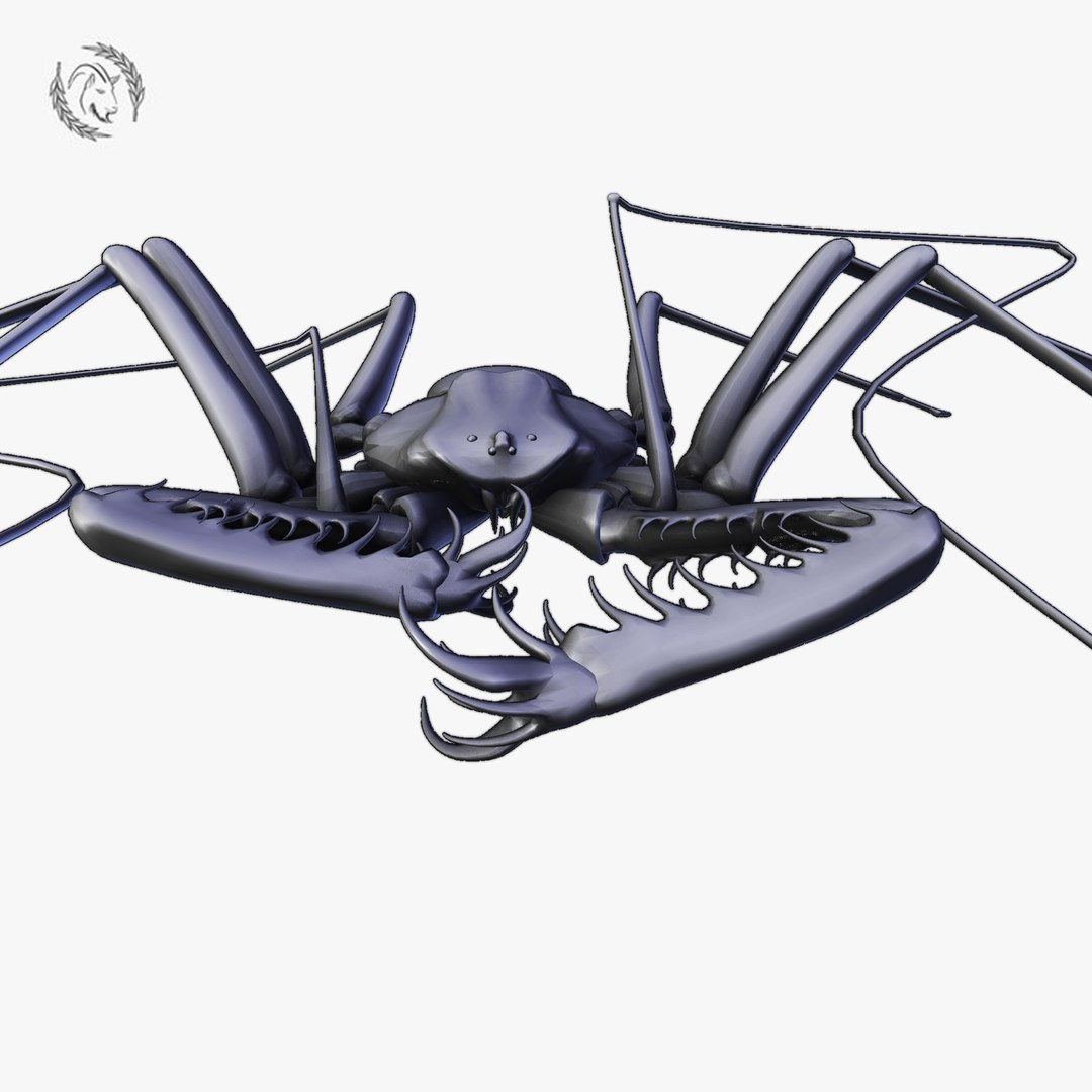 3D Whip Spider - TurboSquid 1231709