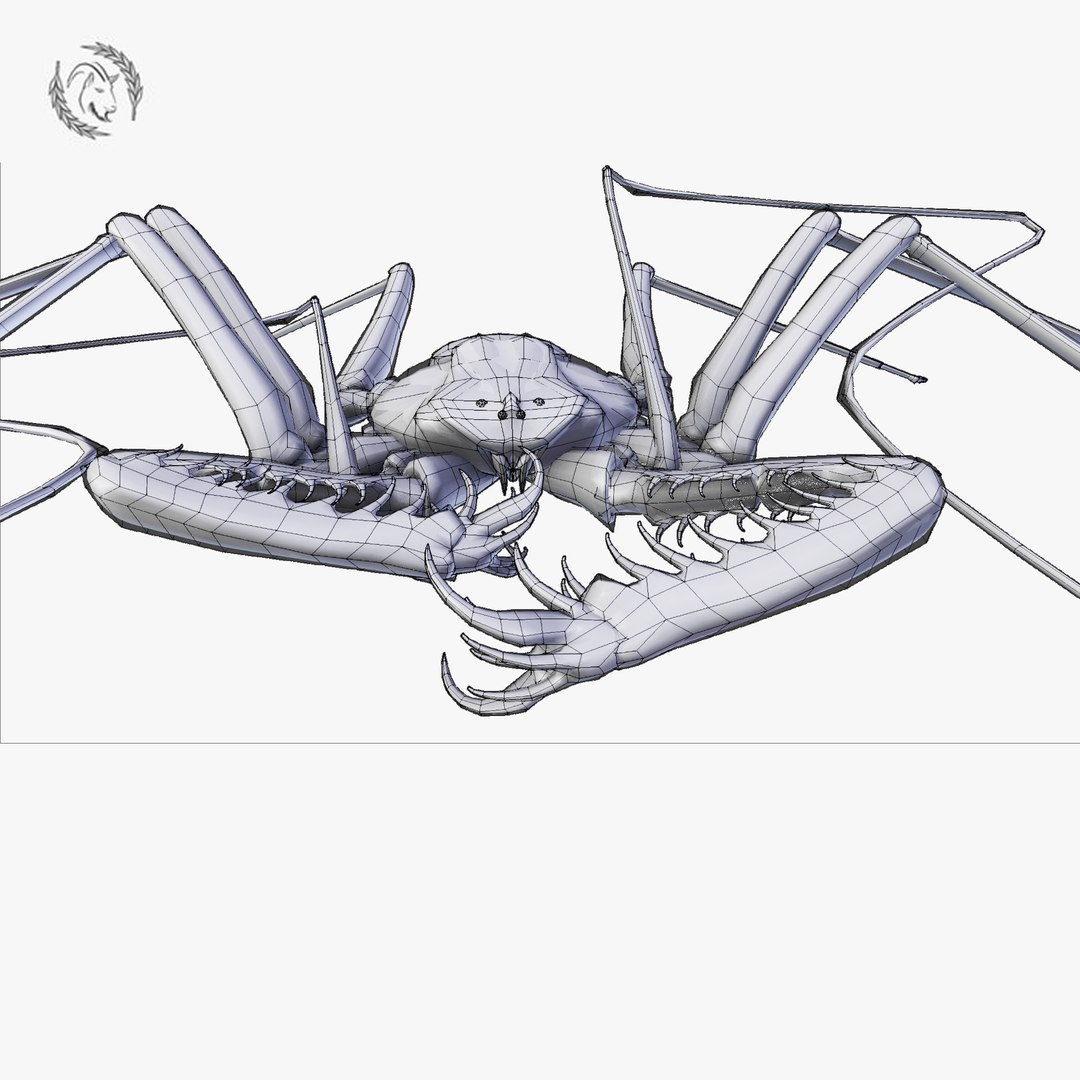 3D Whip Spider - TurboSquid 1231709
