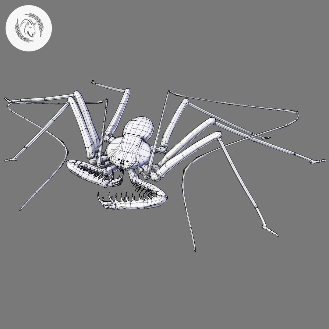 3D Whip Spider - TurboSquid 1231709