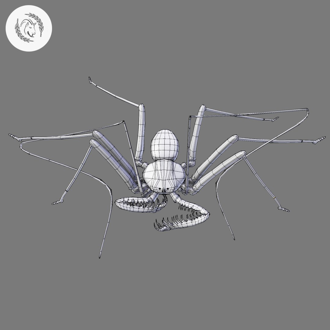 3D Whip Spider - TurboSquid 1231709