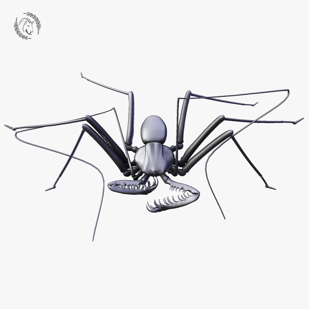 3D Whip Spider - TurboSquid 1231709