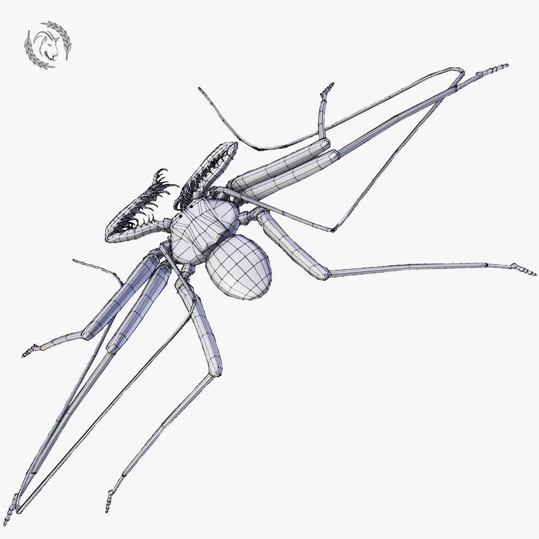 3D Whip Spider - TurboSquid 1231709