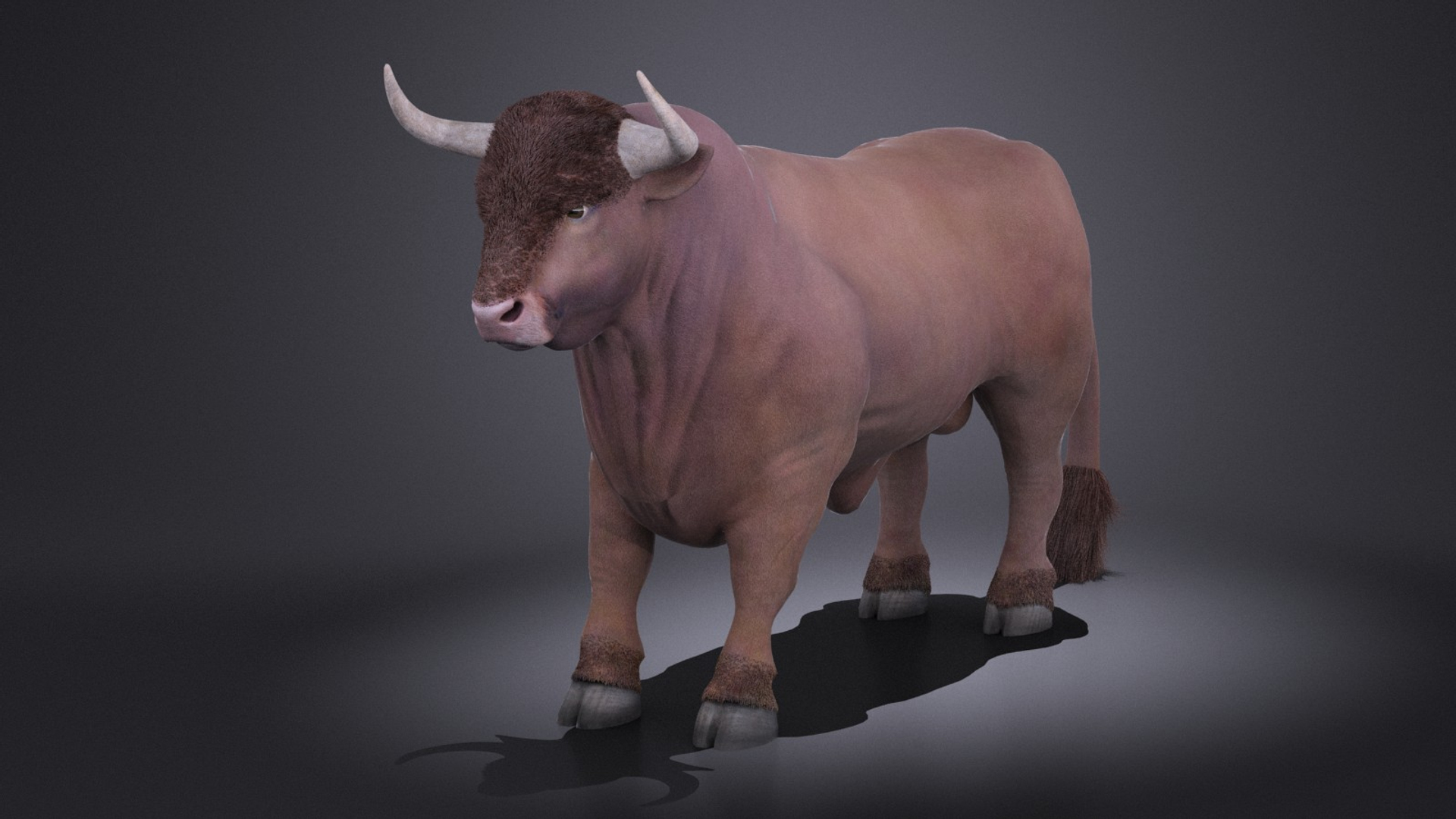 Rigged 3D Model | 1142557 | TurboSquid