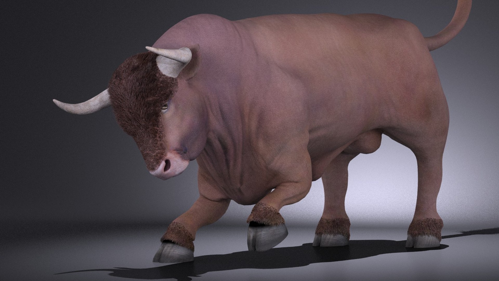 Rigged 3D Model | 1142557 | TurboSquid