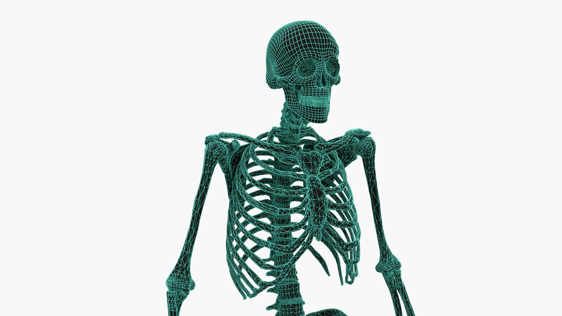 3D Skeleton model - TurboSquid 2059937