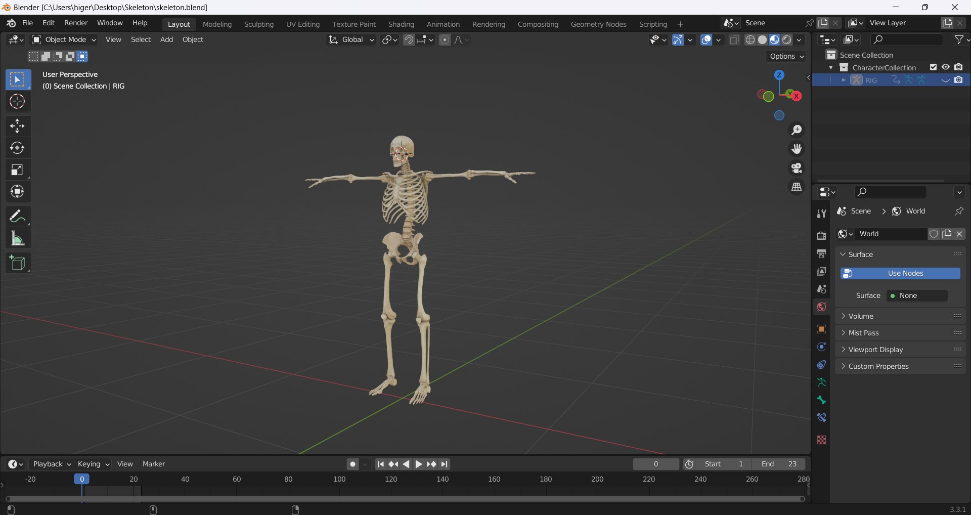 3D Skeleton model - TurboSquid 2059937