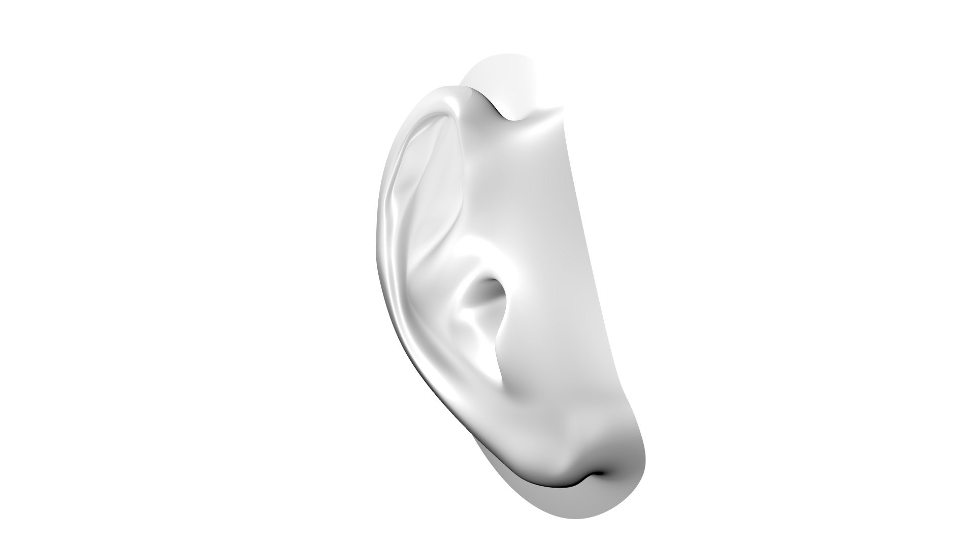Free Ear People Human Head 3d Model