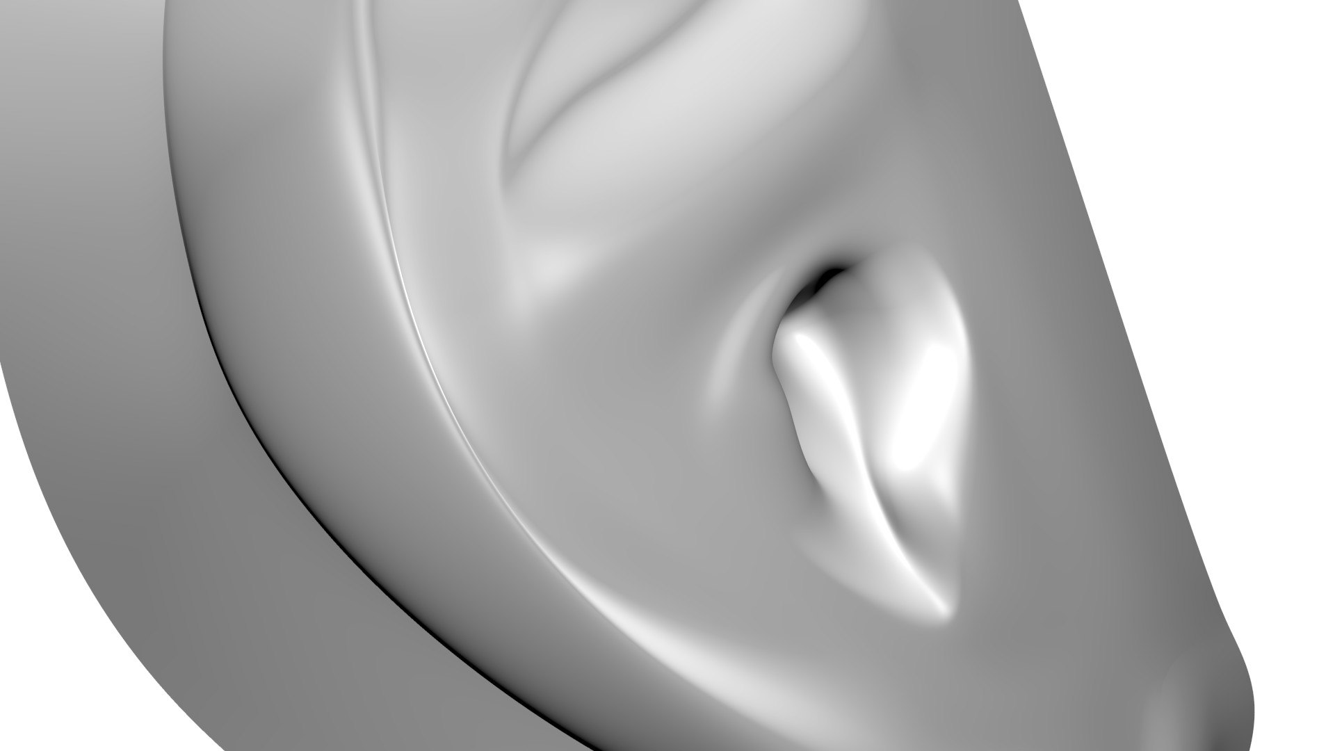 Free Ear People Human Head 3d Model