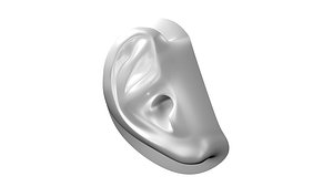Free 3D Ears Models | TurboSquid