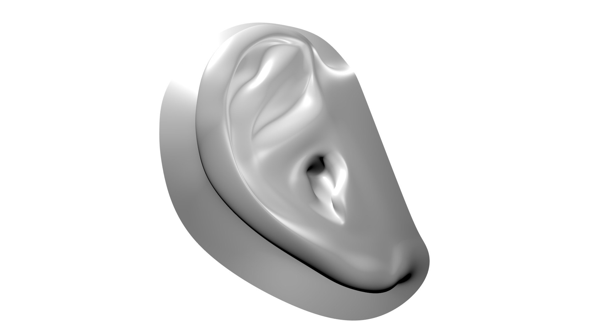 Free Ear People Human Head 3d Model