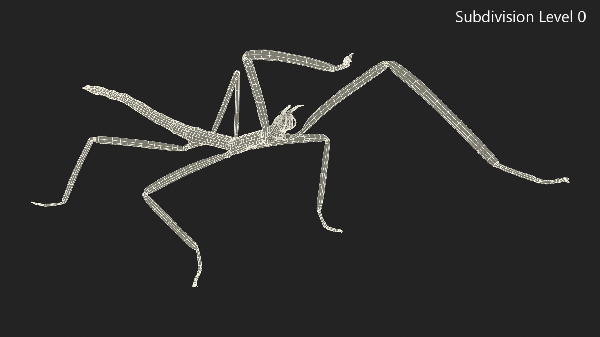 3D Stick Insect Green Attack - TurboSquid 1471770