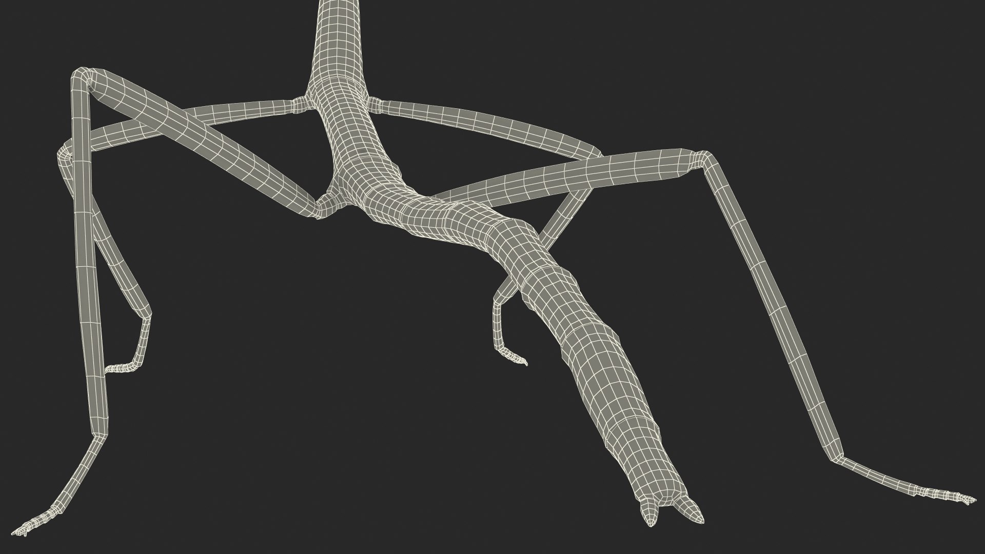 3D Stick Insect Green Attack - TurboSquid 1471770