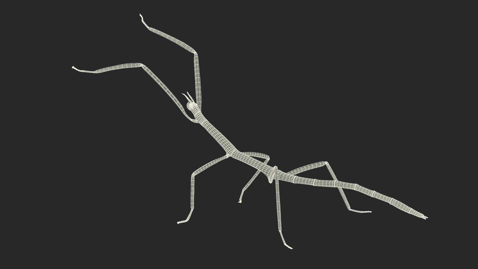 3D Stick Insect Green Attack - TurboSquid 1471770
