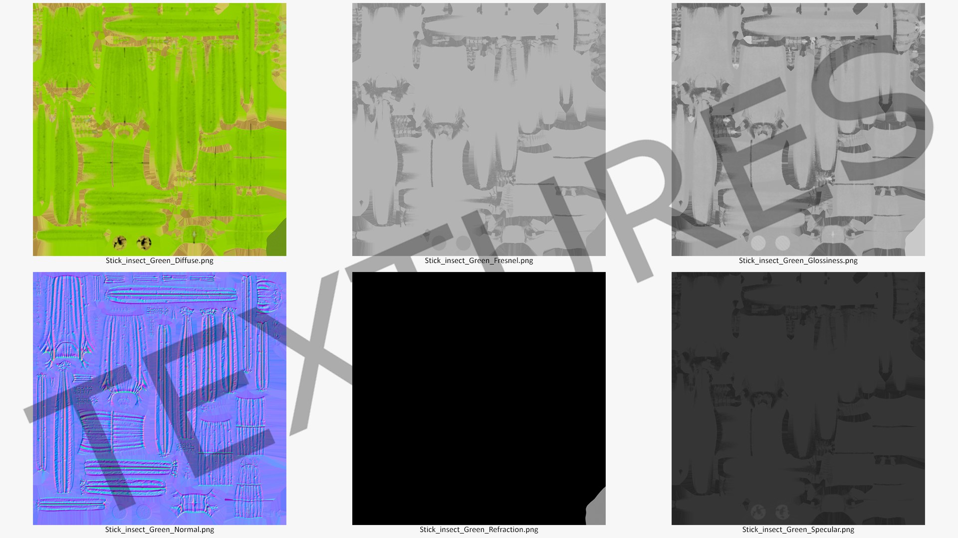 3D Stick Insect Green Attack - TurboSquid 1471770