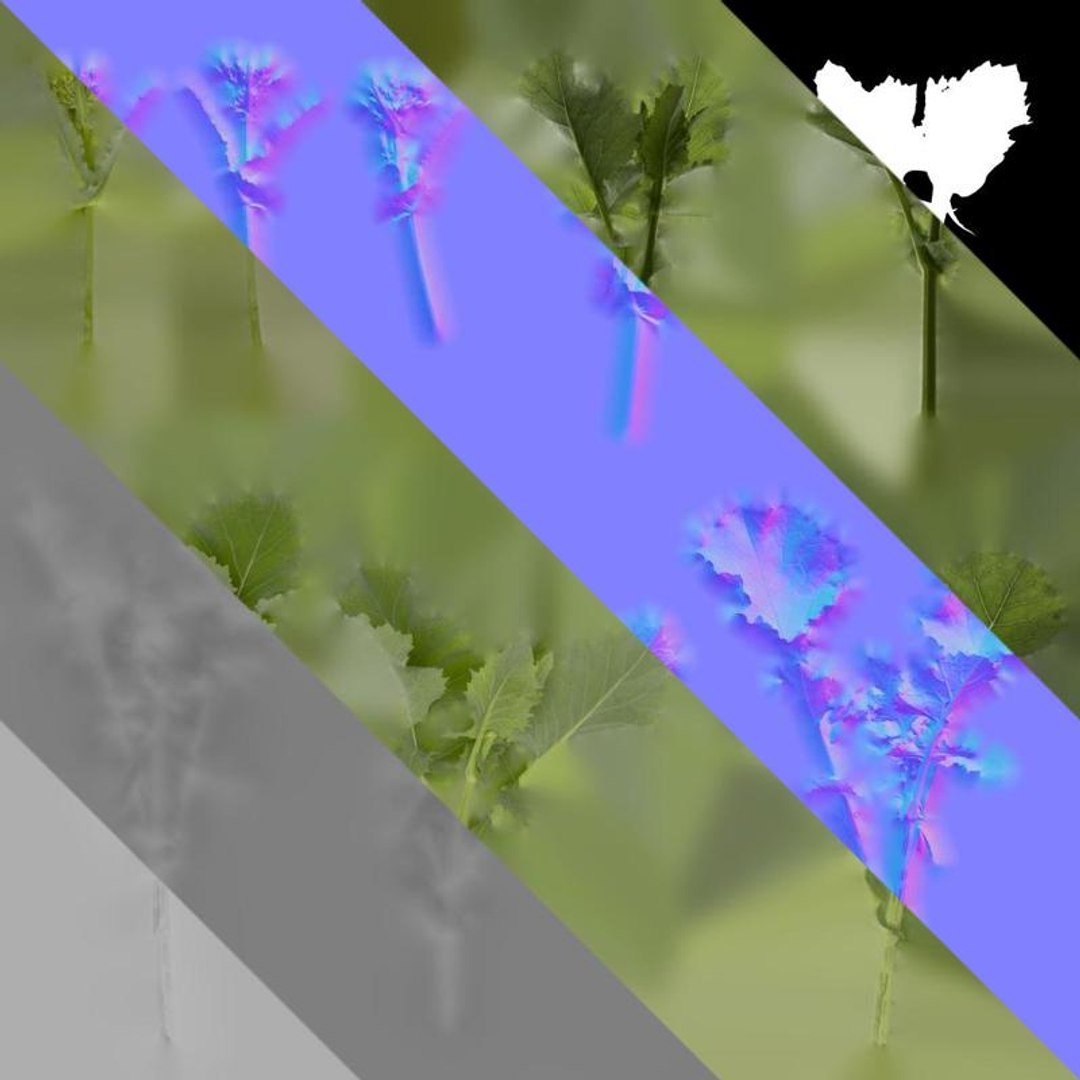 3D Anydrafts Brassica Napus Atlas 08 Textures Model - TurboSquid 2348907