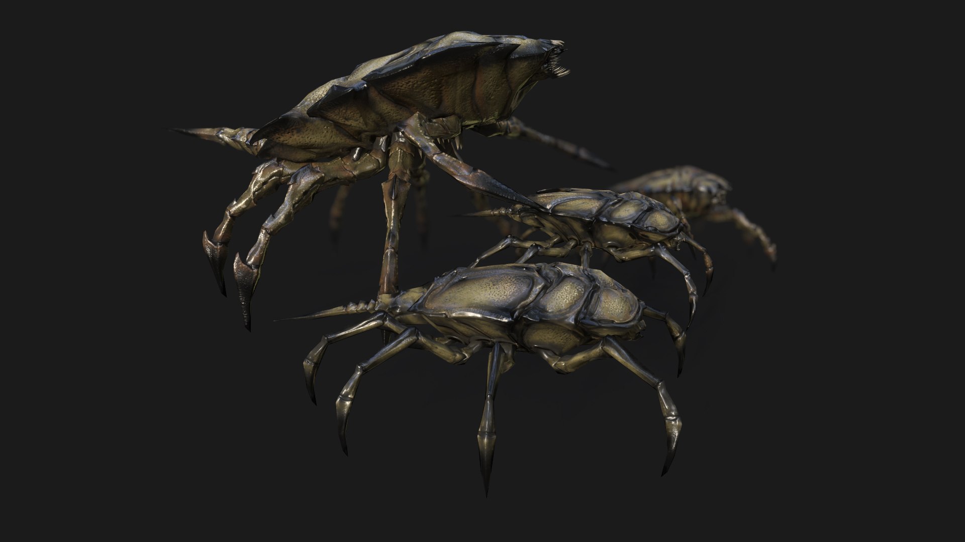 3D Insect Crawlers Collection Model - TurboSquid 1858451