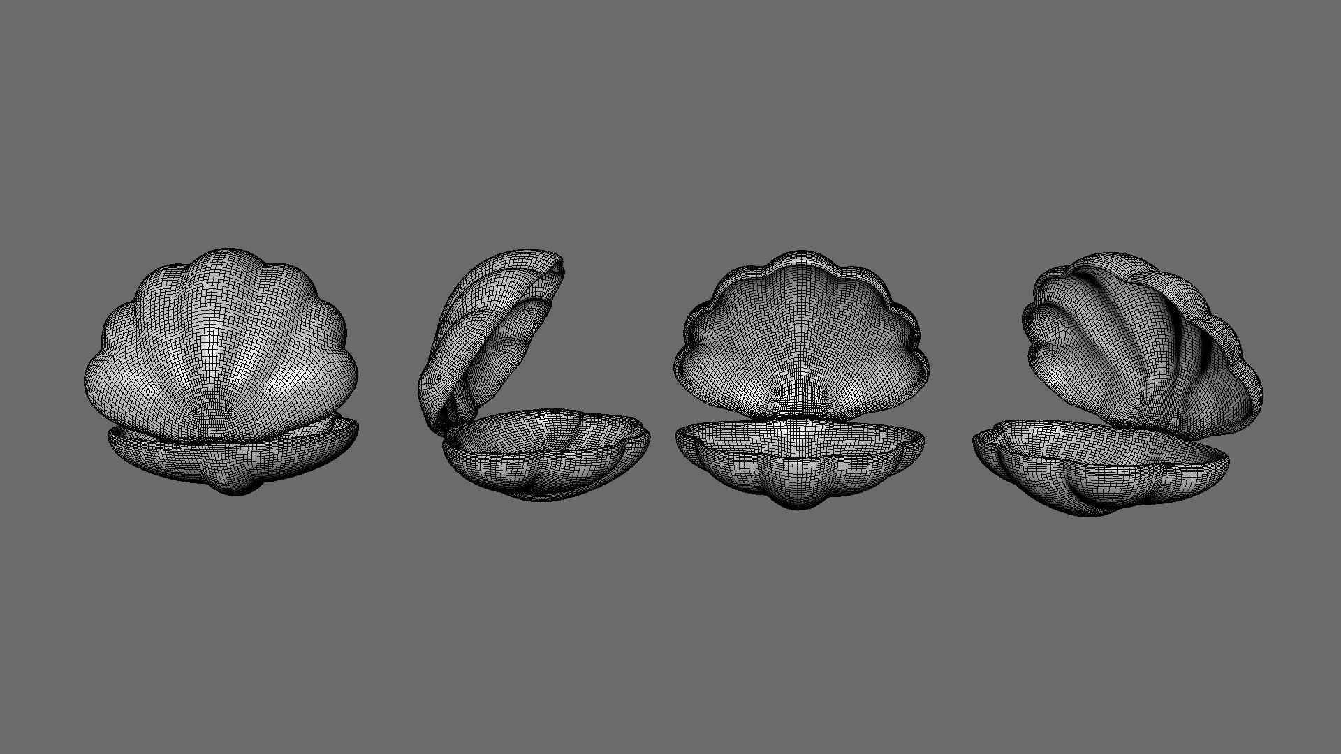 3D Sea Shell 06 Model - TurboSquid 2330595